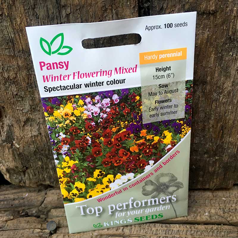 Pansy Winter Flowering Mixed – Markeaton Garden Centre