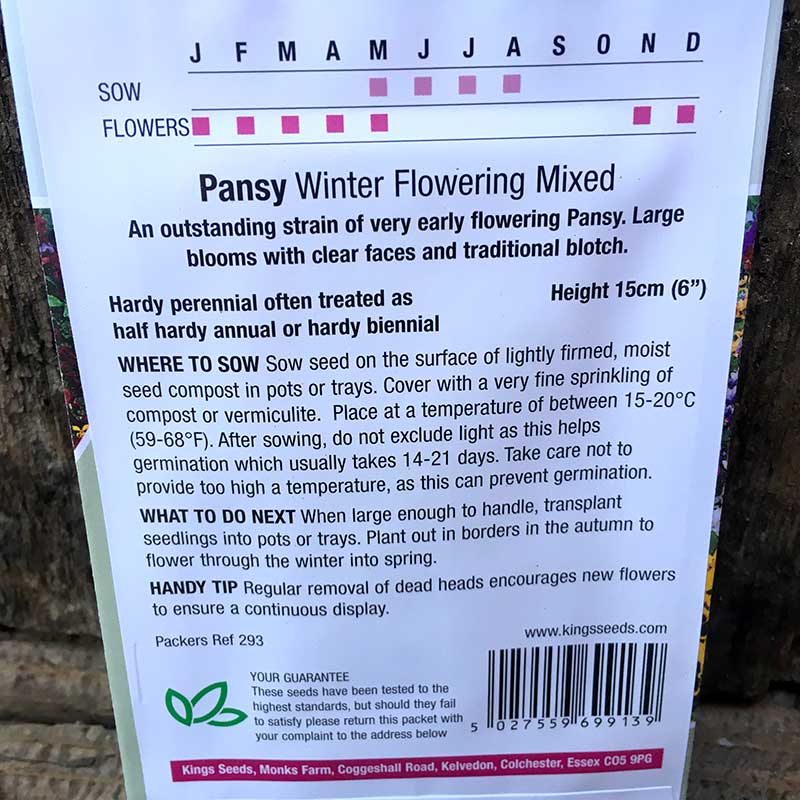 Pansy Winter Flowering Mixed – Markeaton Garden Centre