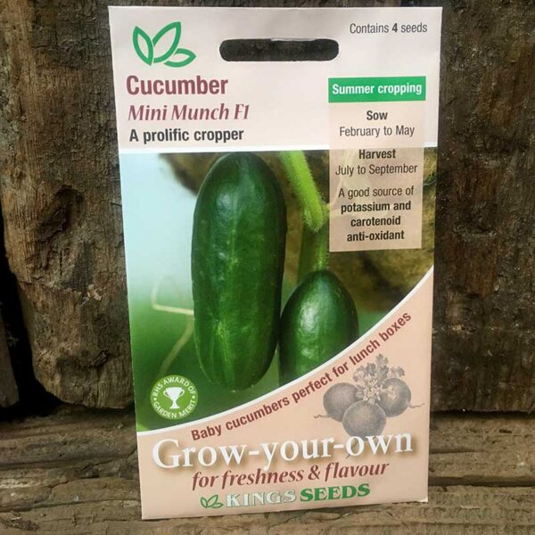 Cucumber Mini Munch F1 – Markeaton Garden Centre